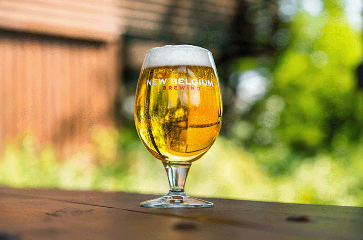 Holiday Ale | New Belgium Brewing